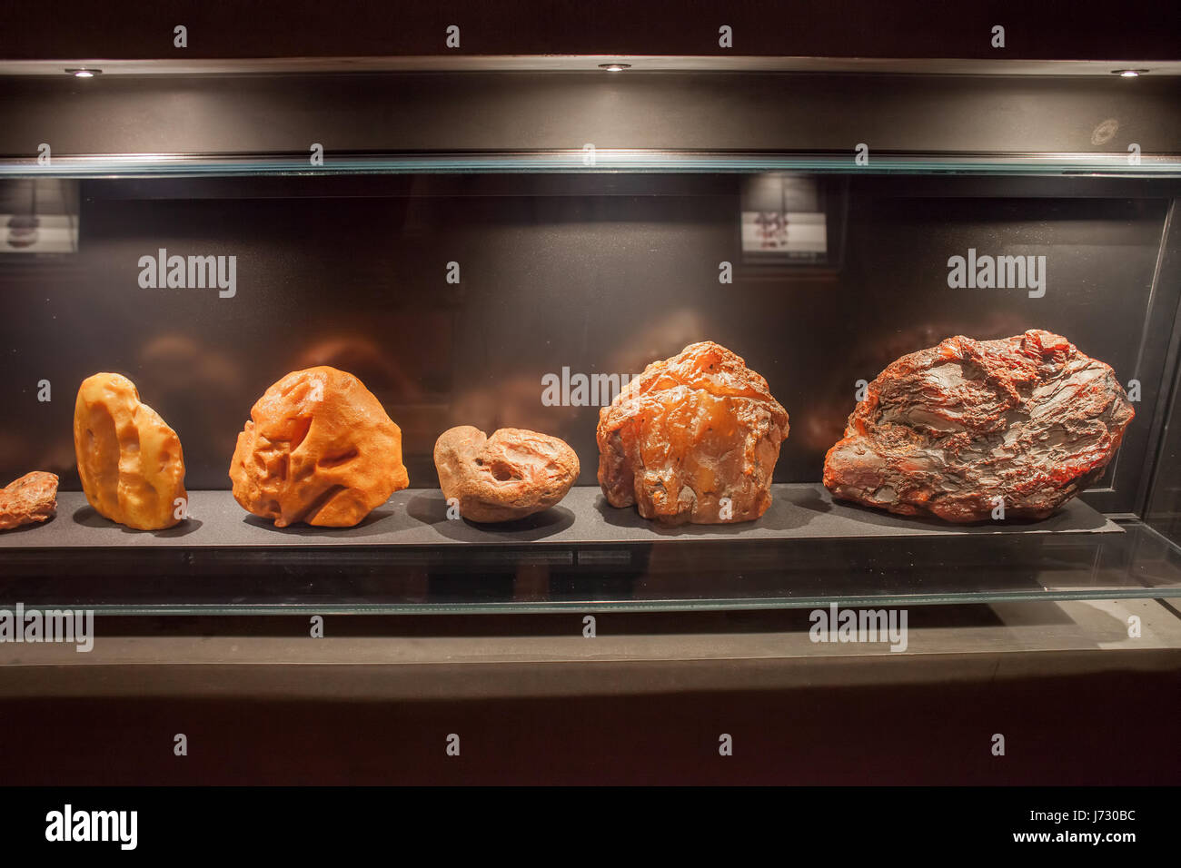 Amber collection exhibition in Malbork Castle, Poland, Europe, large ...