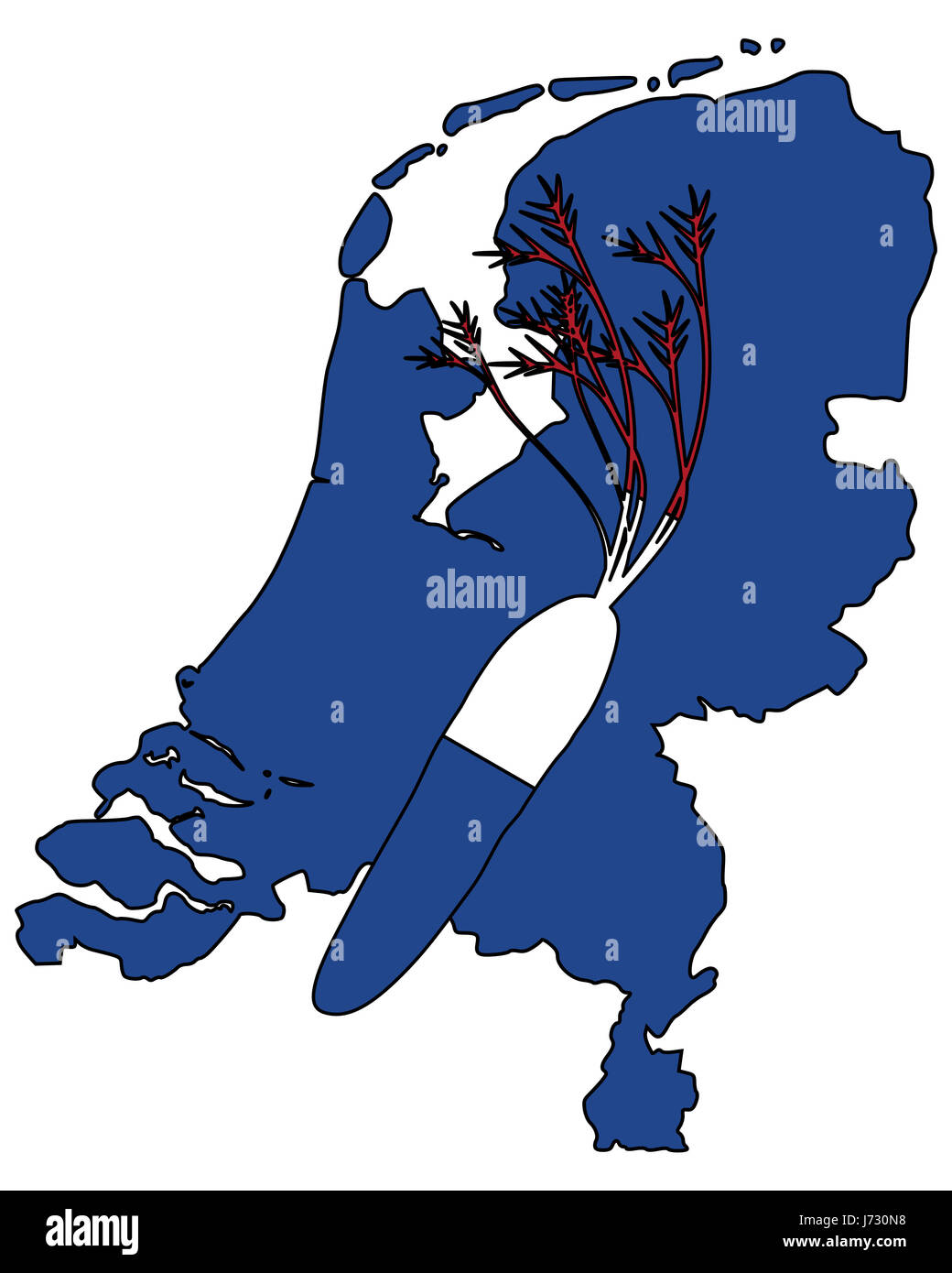 Holland or flanders Cut Out Stock Images & Pictures - Alamy