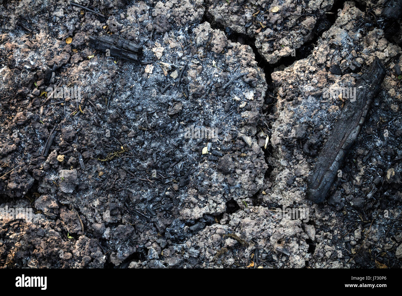 cracked and burned earth Stock Photo - Alamy