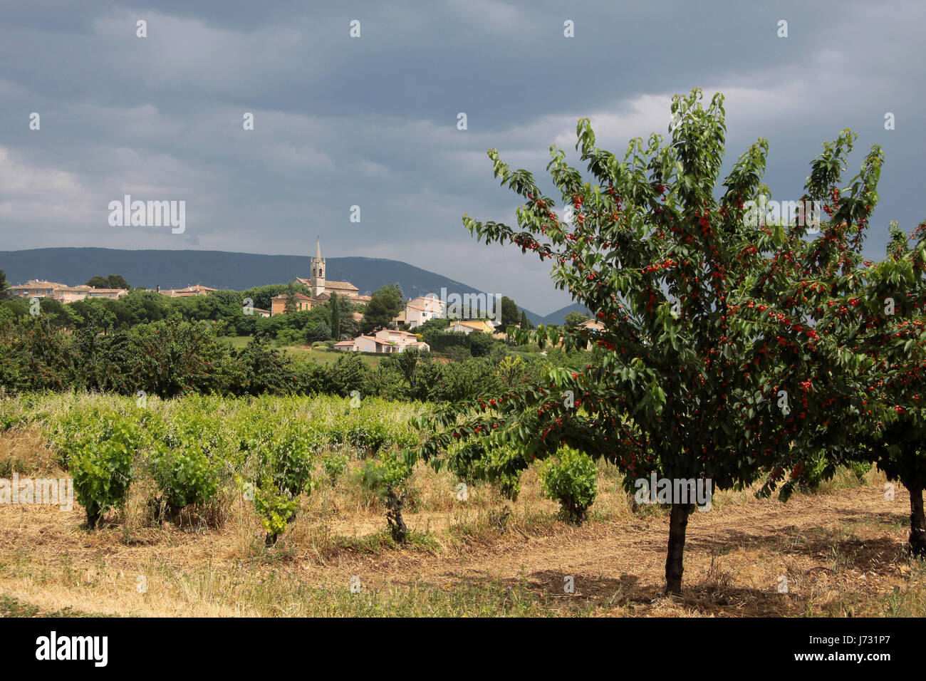 Regengebiet hi-res stock photography and images - Alamy