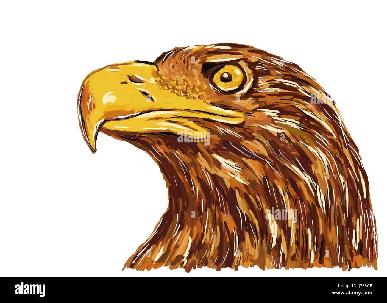 Adlerkopf hi-res stock photography and images - Alamy