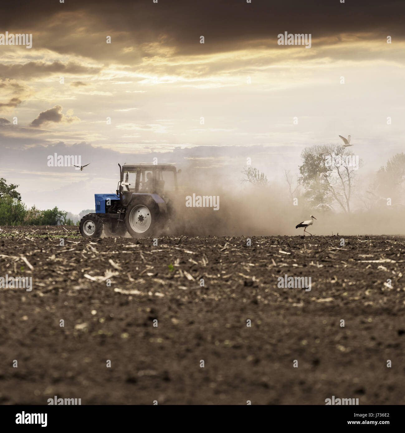 Plow High Resolution Stock Photography and Images - Alamy