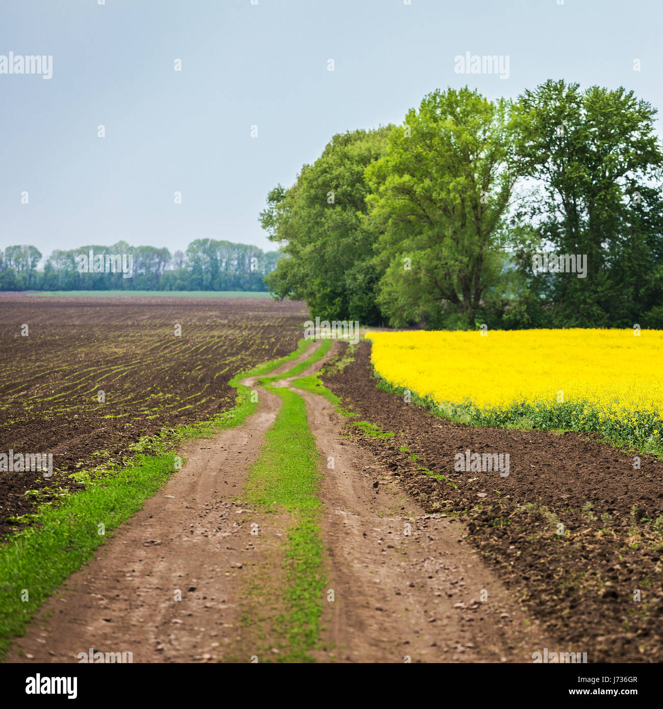 Beautiful Ukrainian landscape with a spring field after planting Stock ...