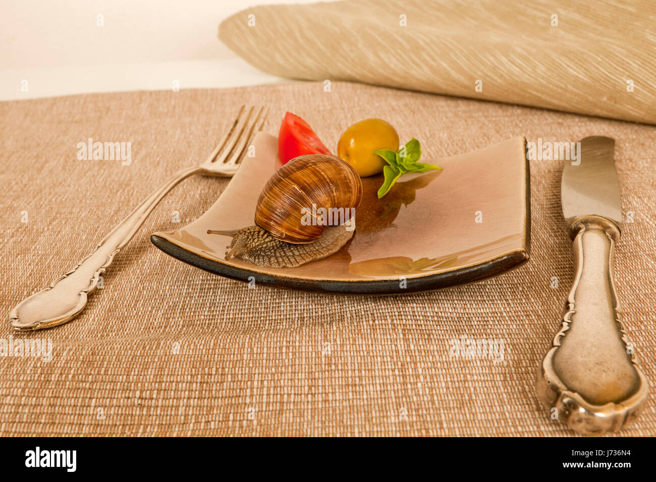 model design project concept plan draft animal kitchen cuisine plate ...