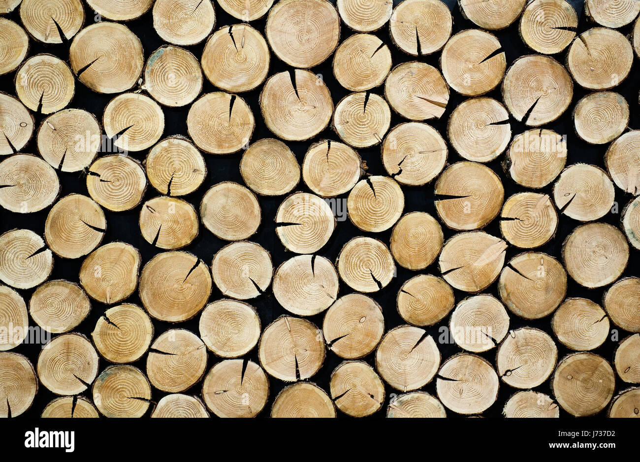 stacked tree slices Stock Photo - Alamy