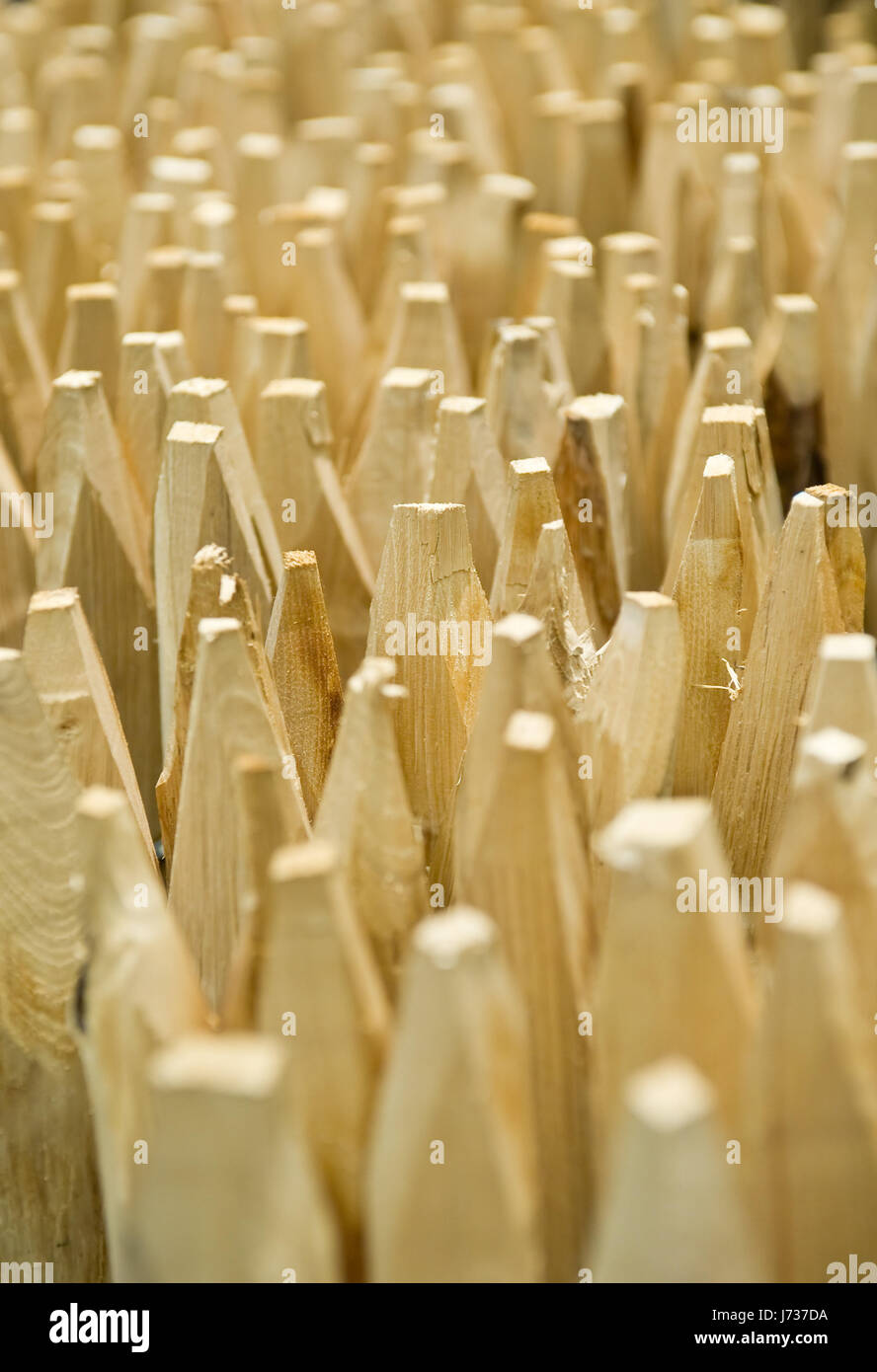 pointed wooden stakes Stock Photo - Alamy