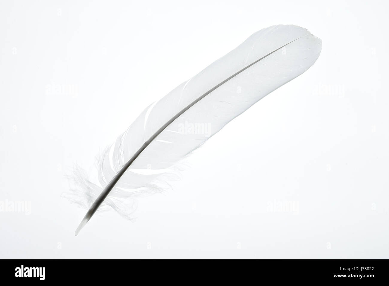 Holy feather hi-res stock photography and images - Alamy
