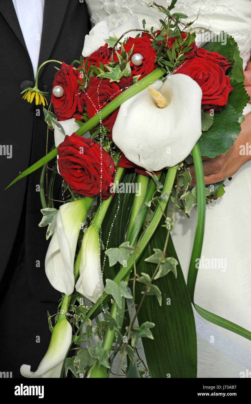 flower flowers plant roses red wedding marriage marriage ceremony ...