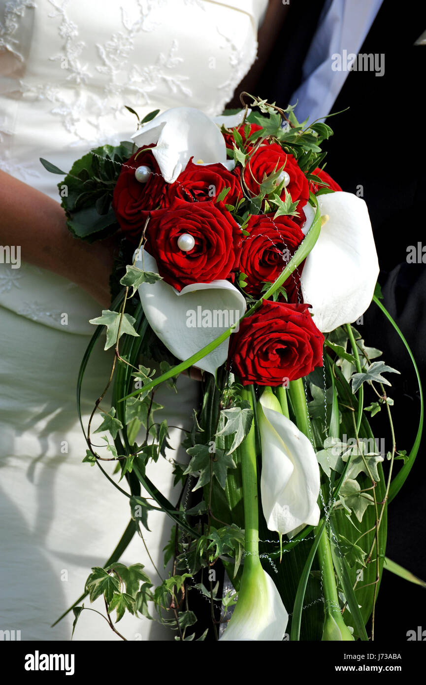 flower flowers plant roses red wedding marriage marriage ceremony ...