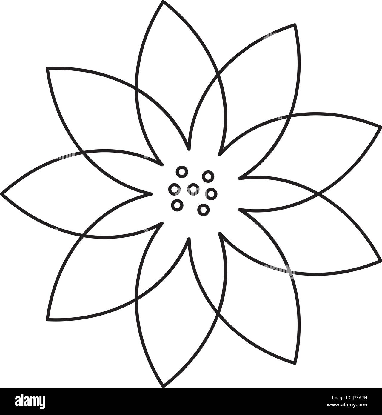 outline flower natural decoration delicate Stock Vector Image & Art - Alamy