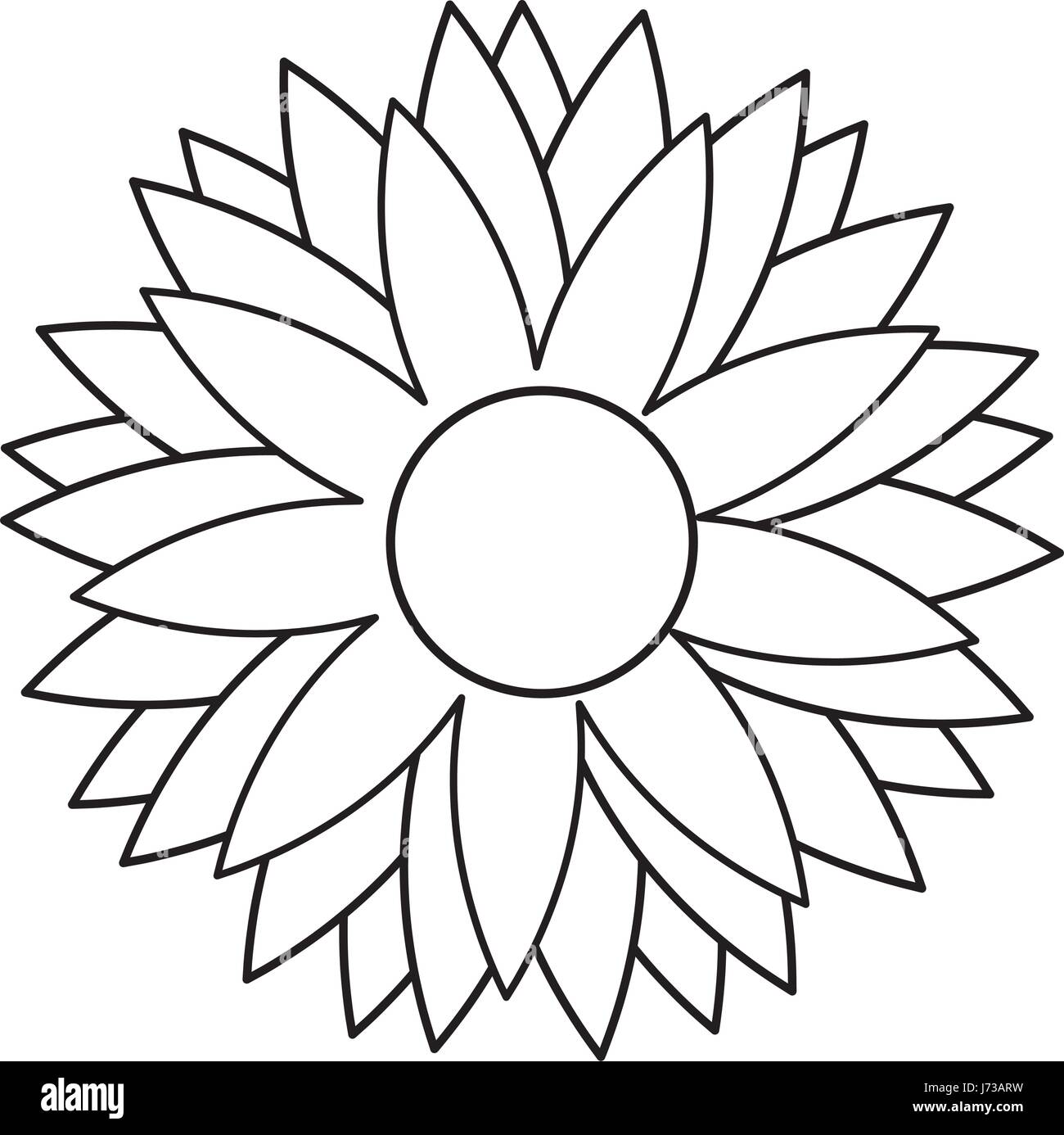outline flower natural decoration delicate Stock Vector Image & Art - Alamy