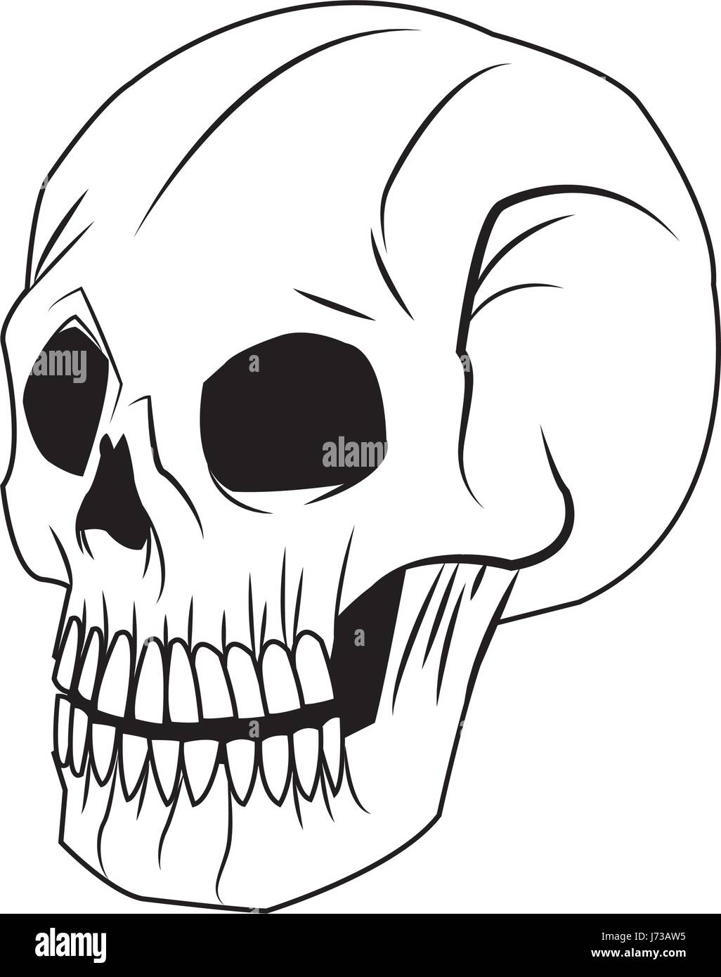 skeleton of the human head, vintage bone Stock Vector Image & Art - Alamy