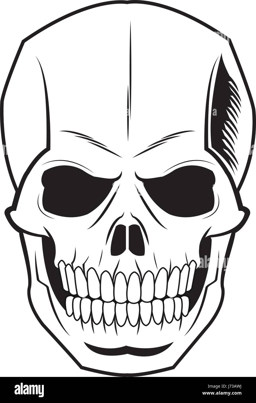 Biological skeleton Stock Vector Images - Alamy