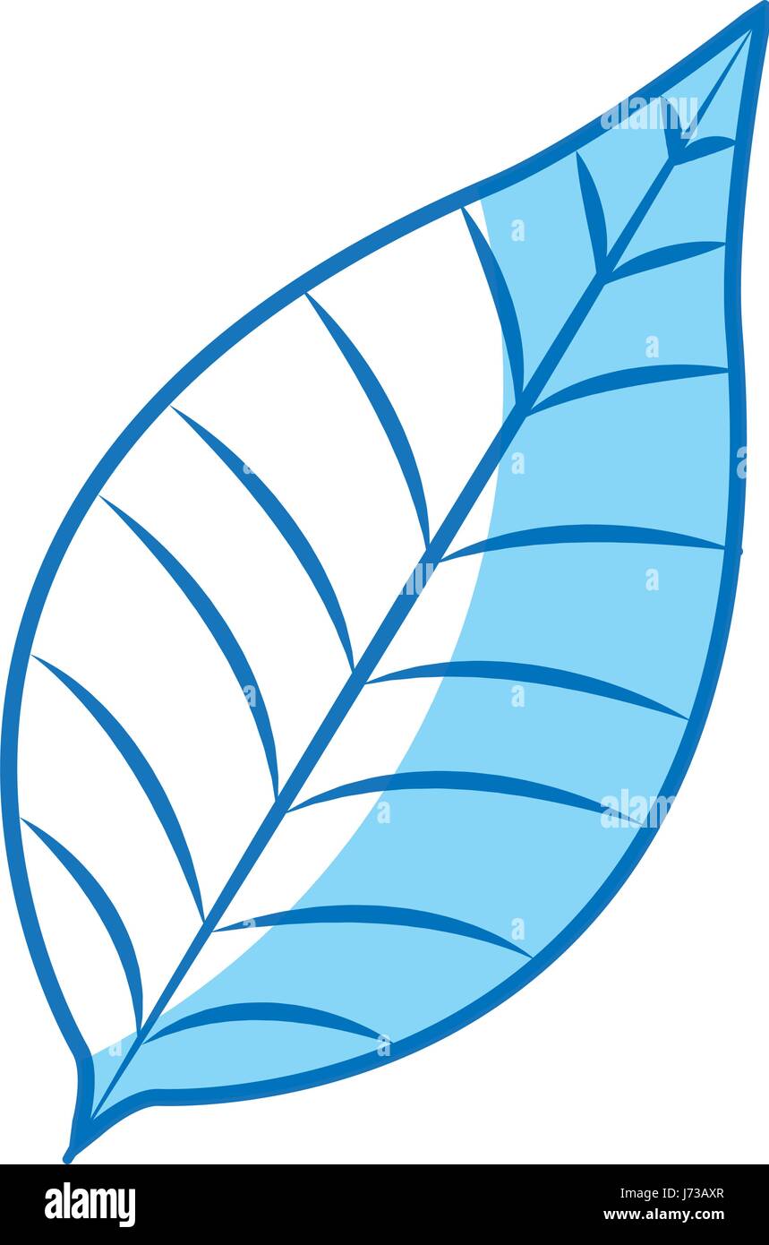 nature leave foliage botanical image Stock Vector Image & Art - Alamy