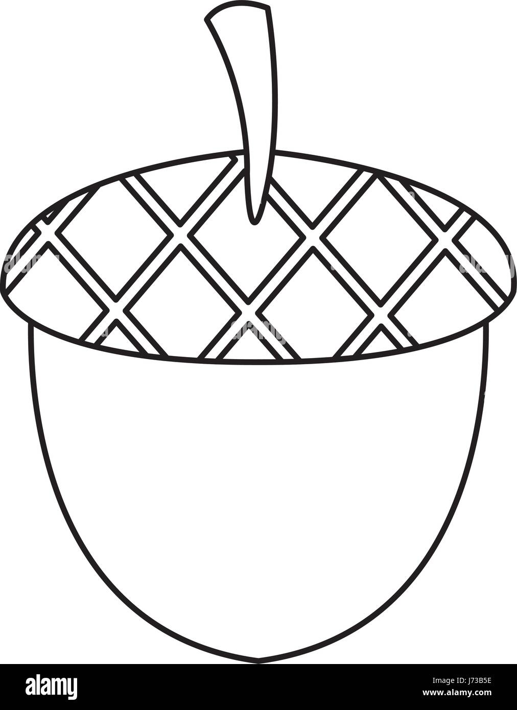 acorn nuts nature fruit natural image Stock Vector Image & Art - Alamy