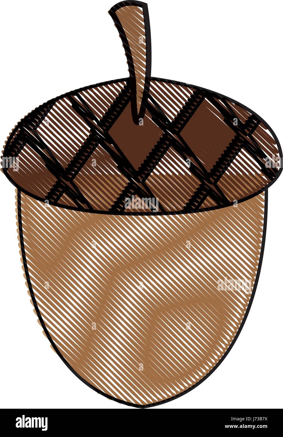 acorn nuts nature fruit natural image Stock Vector Image & Art - Alamy