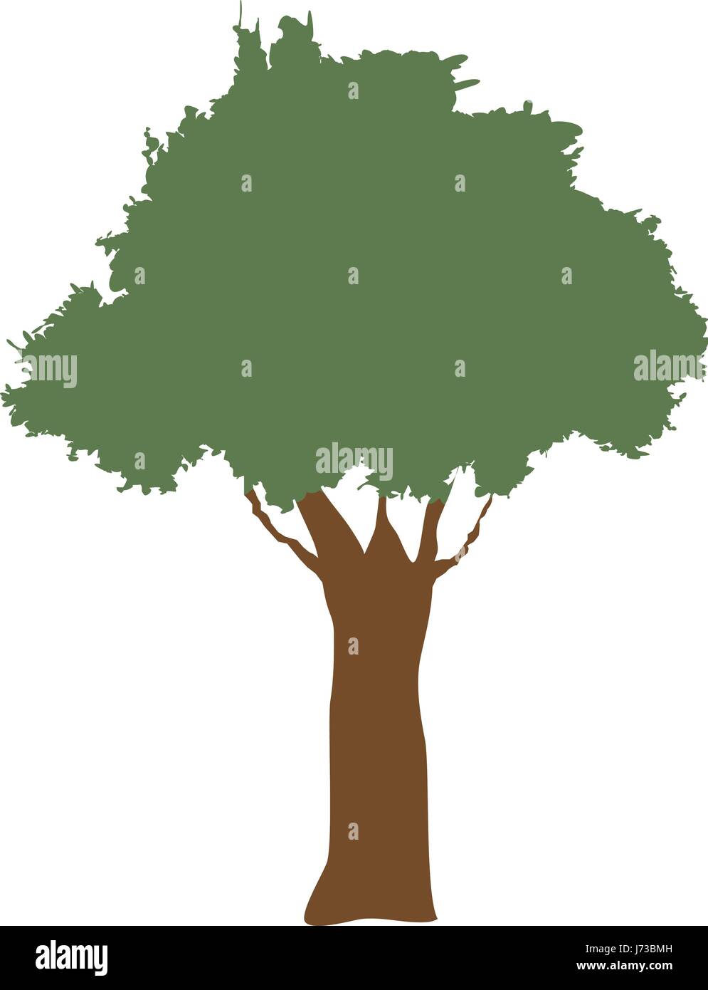 tree natural forest banch foliage image Stock Vector Image & Art - Alamy