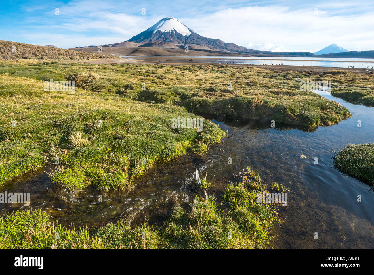 Snow capped Parinacota Volcano over the Lake Chungara, Chile Stock ...