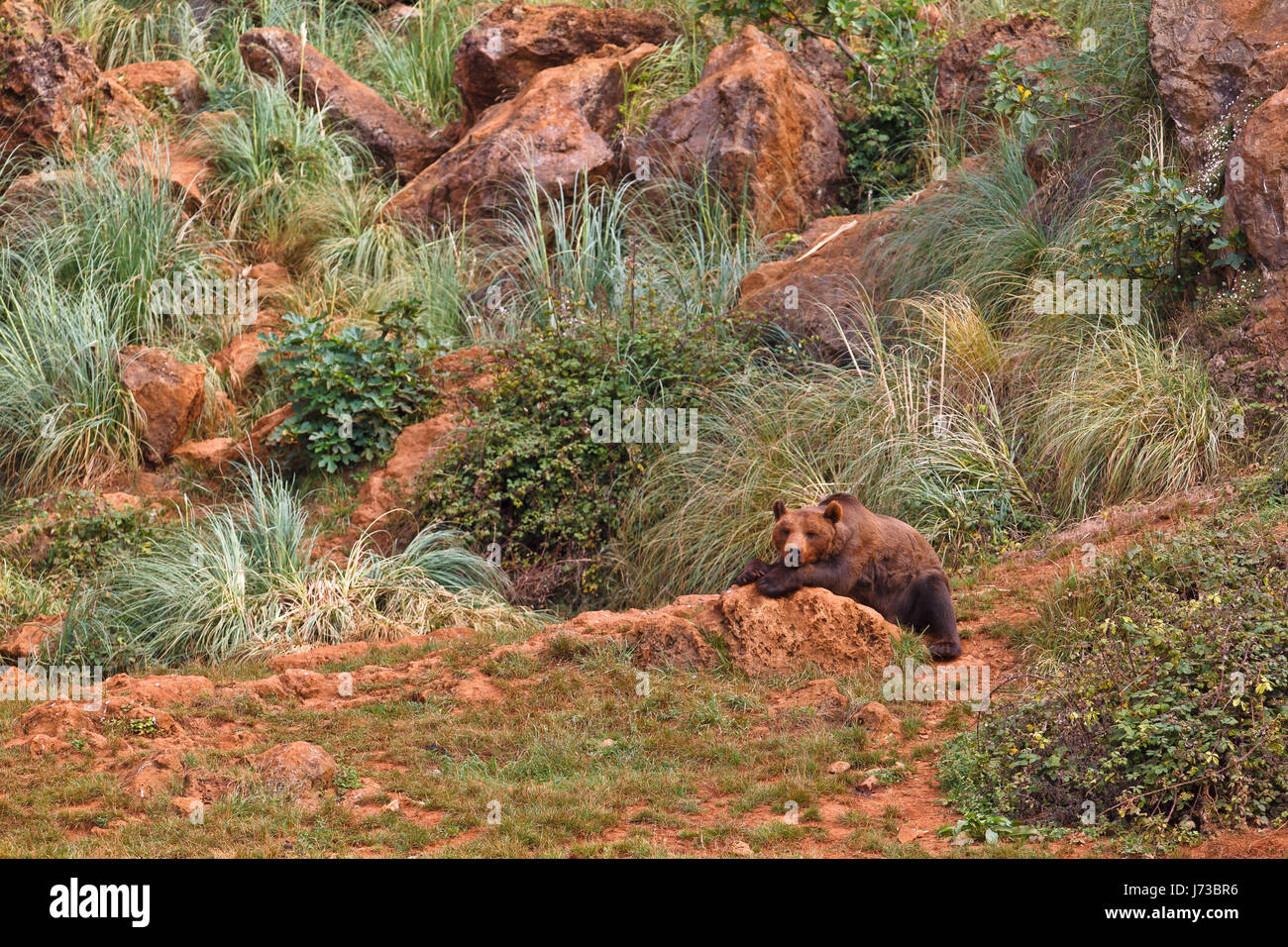 danger big large enormous extreme powerful imposing immense relevant ...