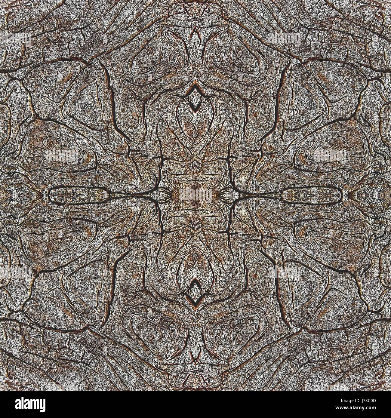 tree wood arc lines bark relief curvate arcs wormed notched structure ...