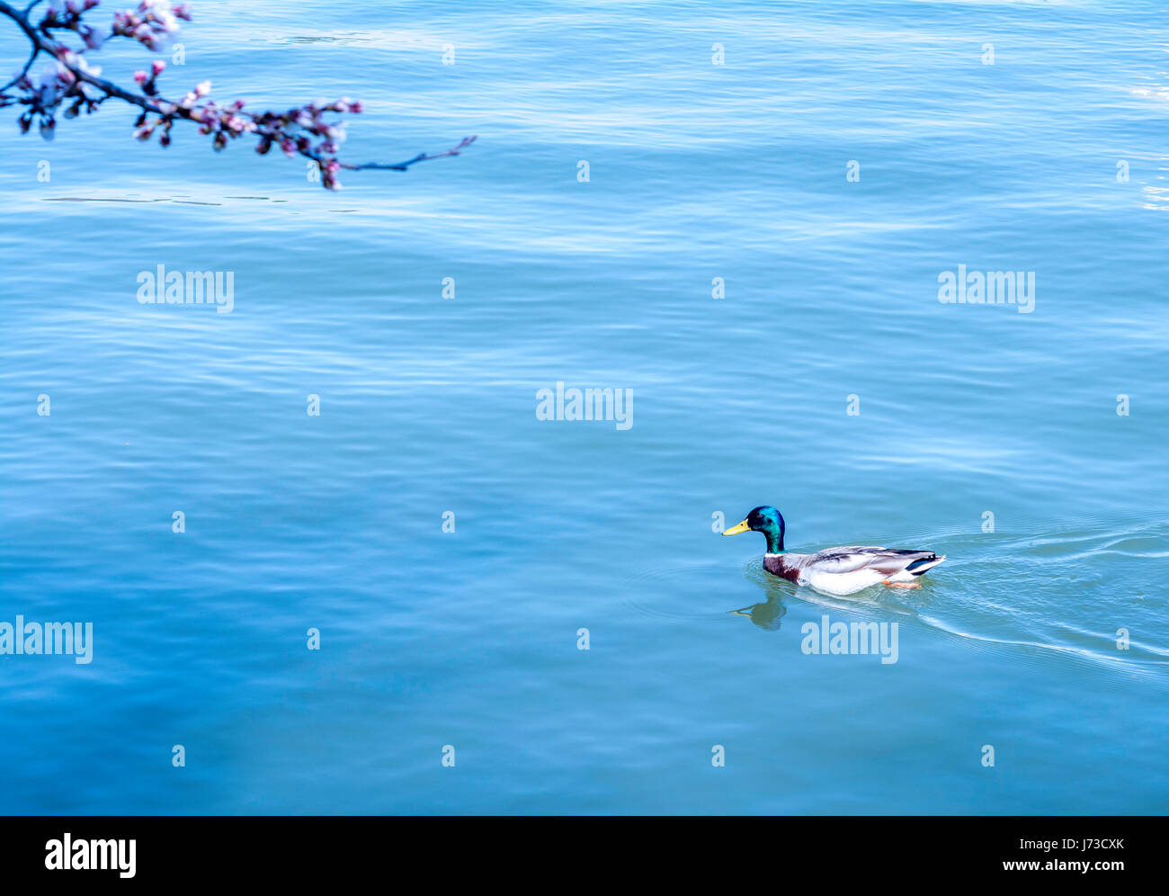 Day time activities hi-res stock photography and images - Alamy