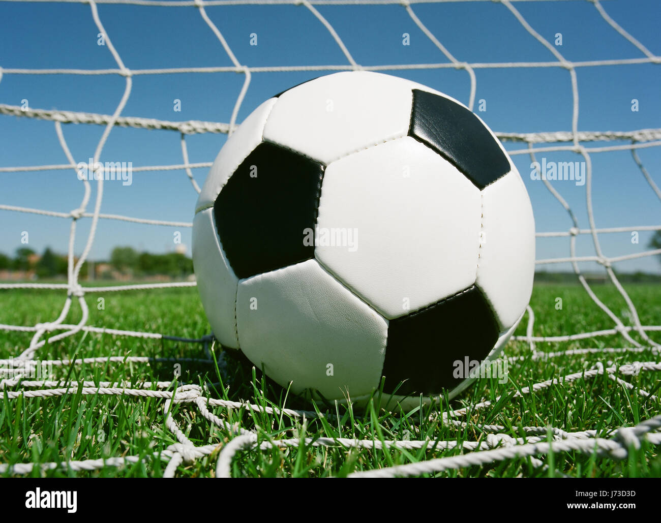 game tournament play playing plays played ball net netting match sport ...