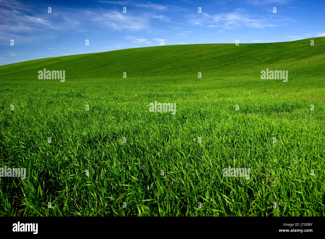 agriculture farming field spring landscape scenery countryside nature ...