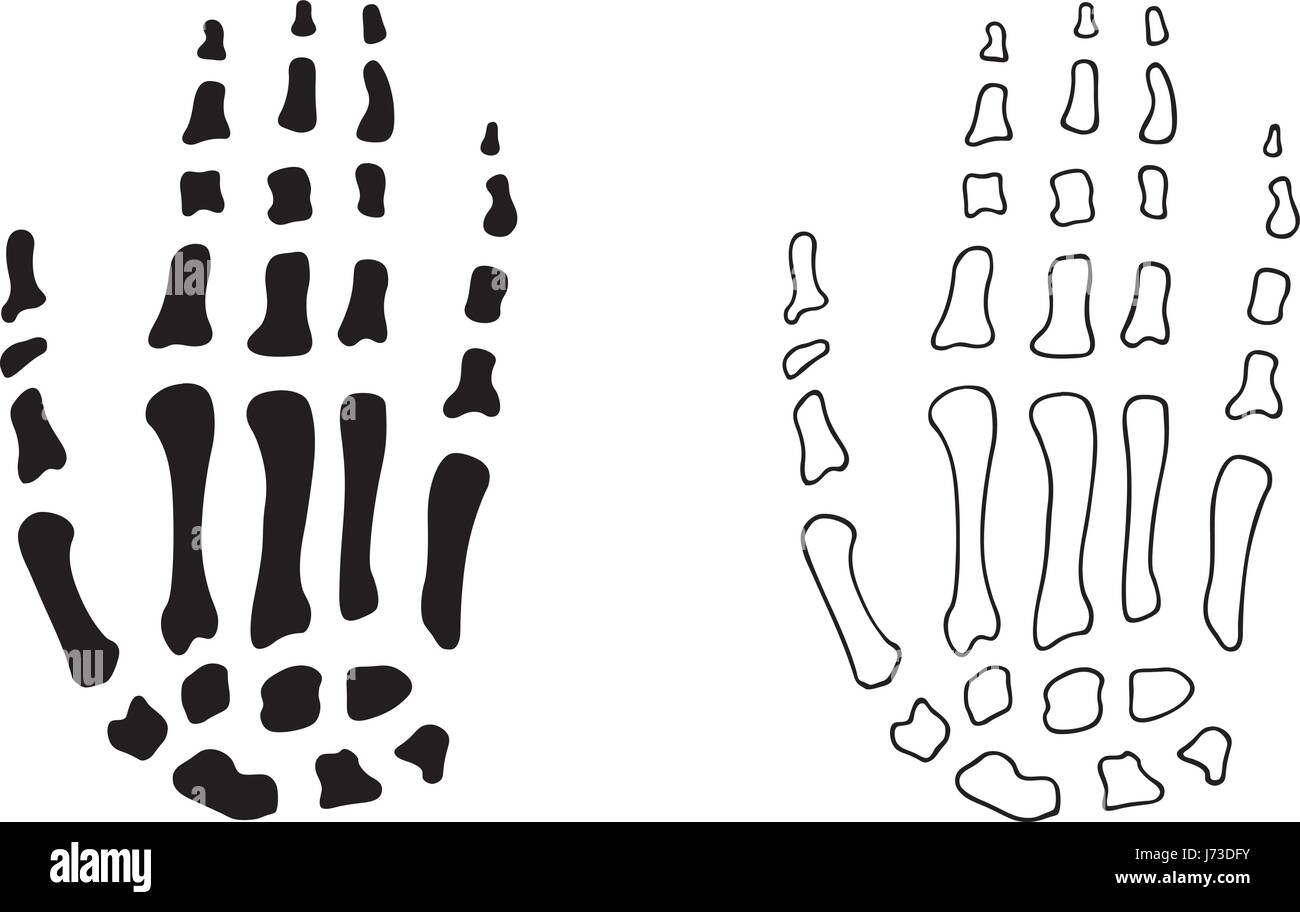 Hand Bones Anatomy Coloring Pages