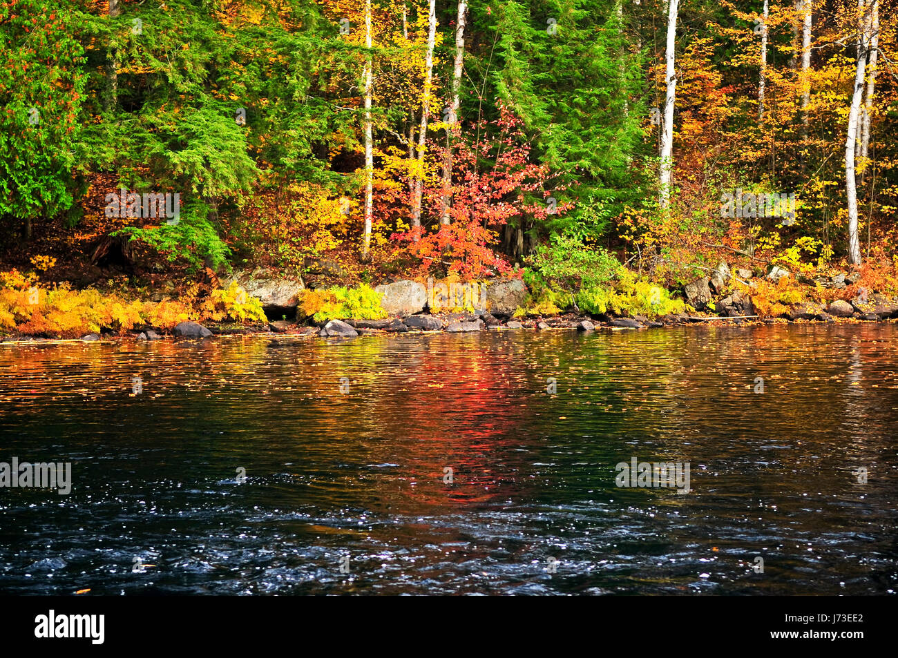 landscape scenery countryside nature forest natural fall autumn leaf ...