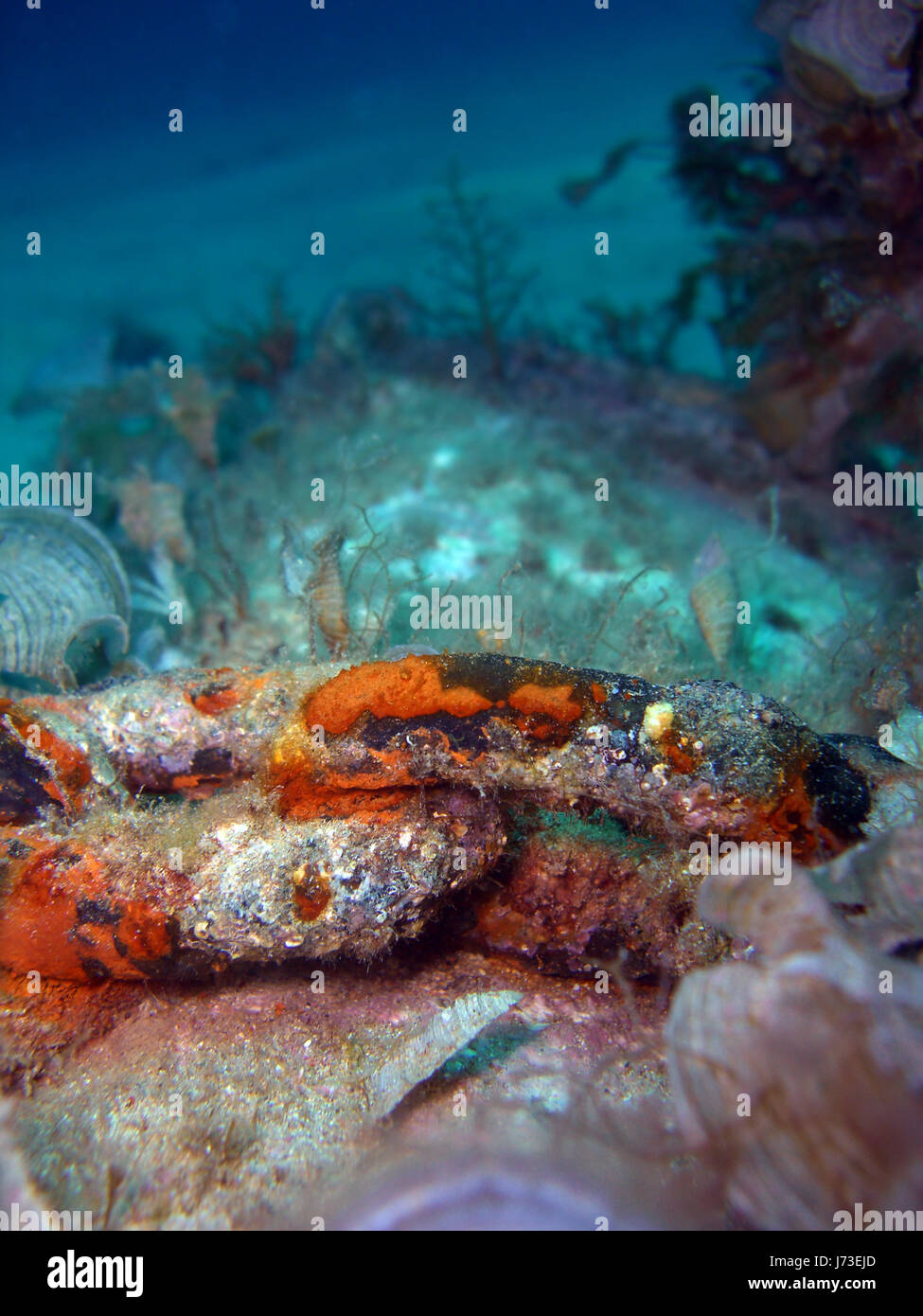 chain underwater malta rust rusted dive anchor chain cable oxidation ...
