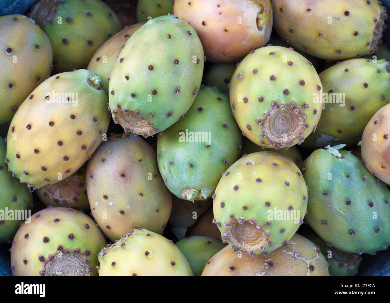 fruit prickly fig tropical pears thorn healthy food aliment sweet ...