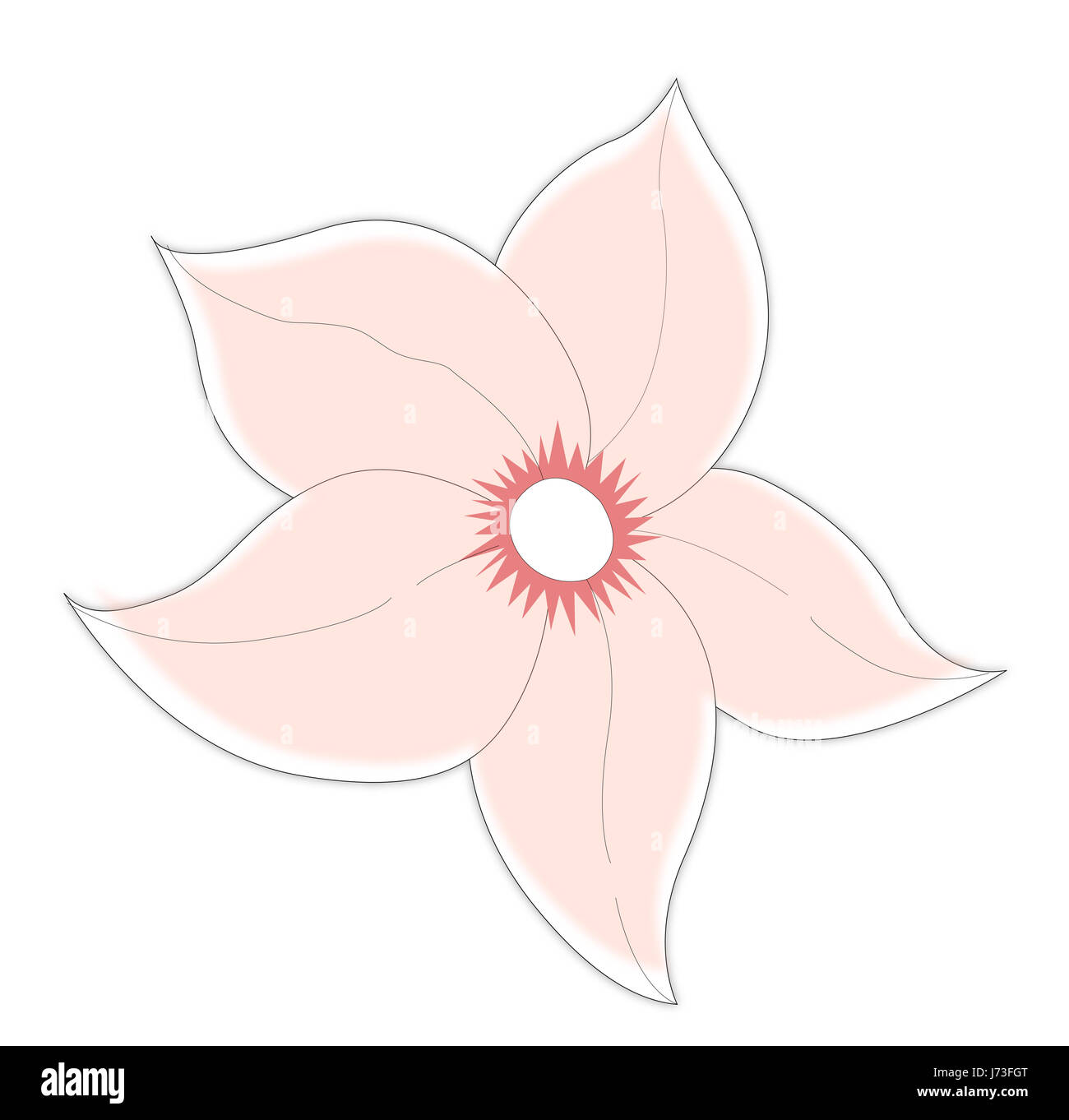flower plant pink isolated colour model design project concept plan ...