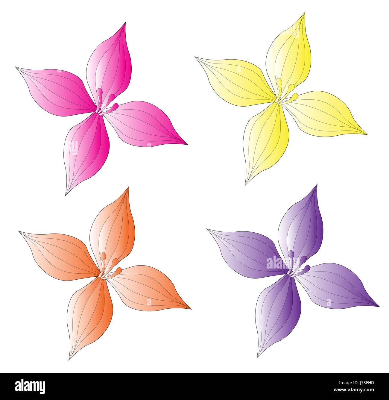 flower plant isolated colour model design project concept plan draft ...