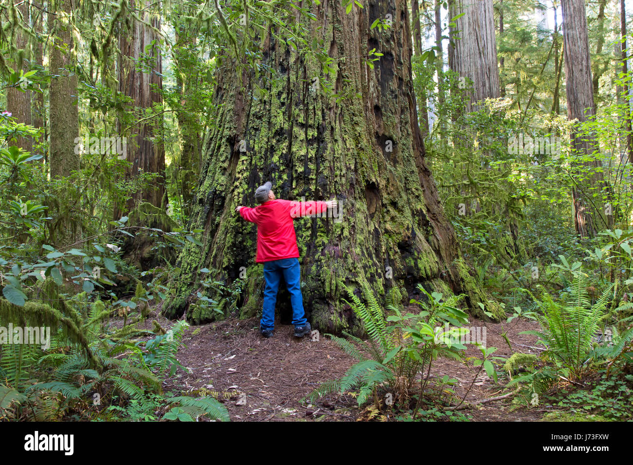 Lumber jacket hi-res stock photography and images - Alamy