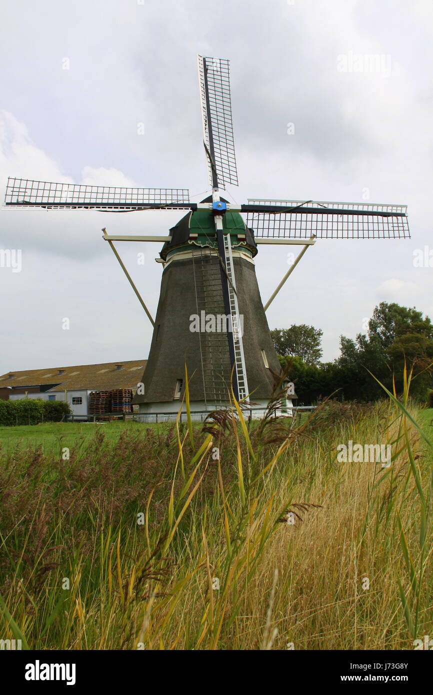 environment enviroment tourism grain holland windmill miller ...