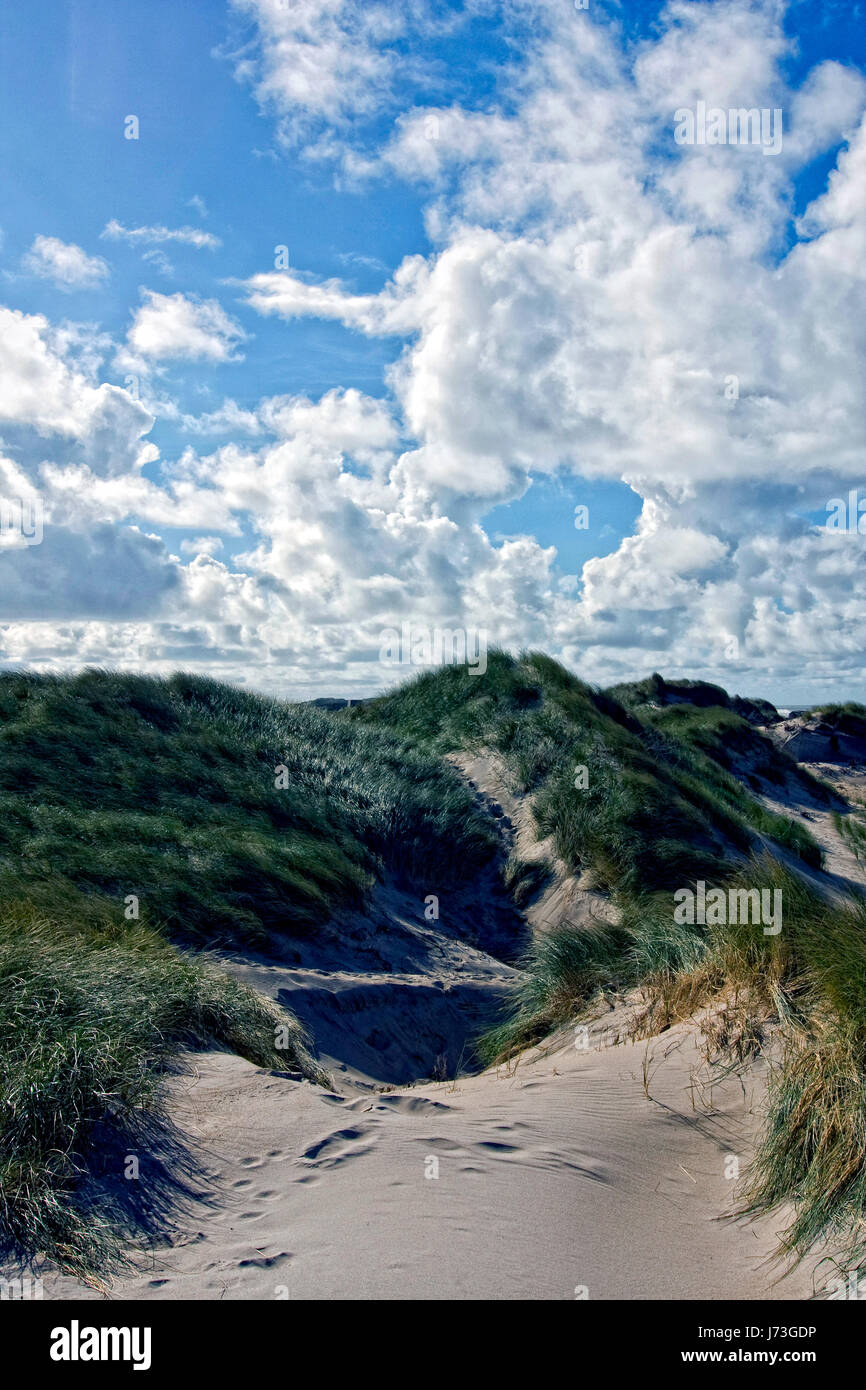 denmark coast firmament sky scenery countryside nature fall autumn ...