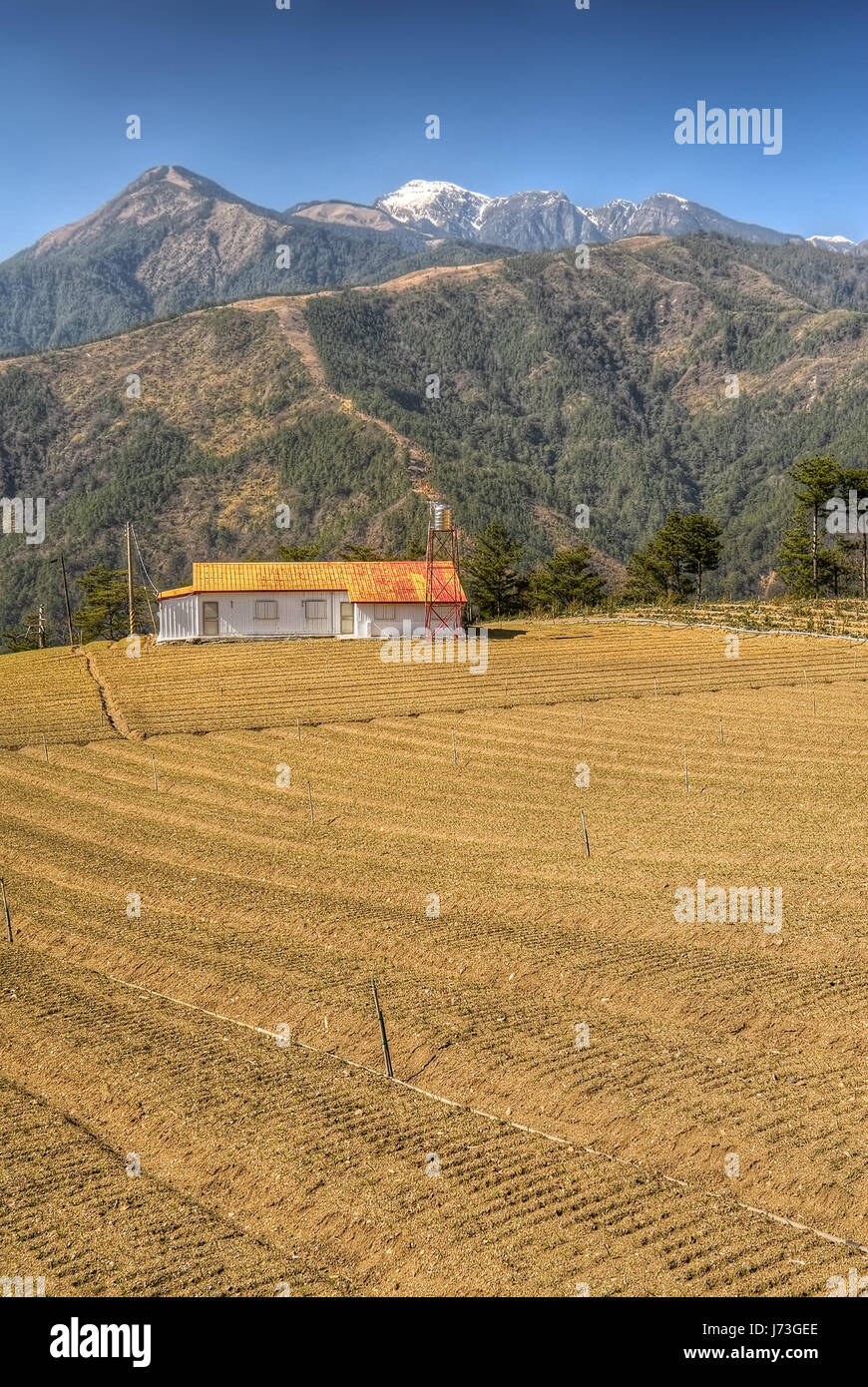 environment enviroment hill field peace farm grow landscape scenery ...