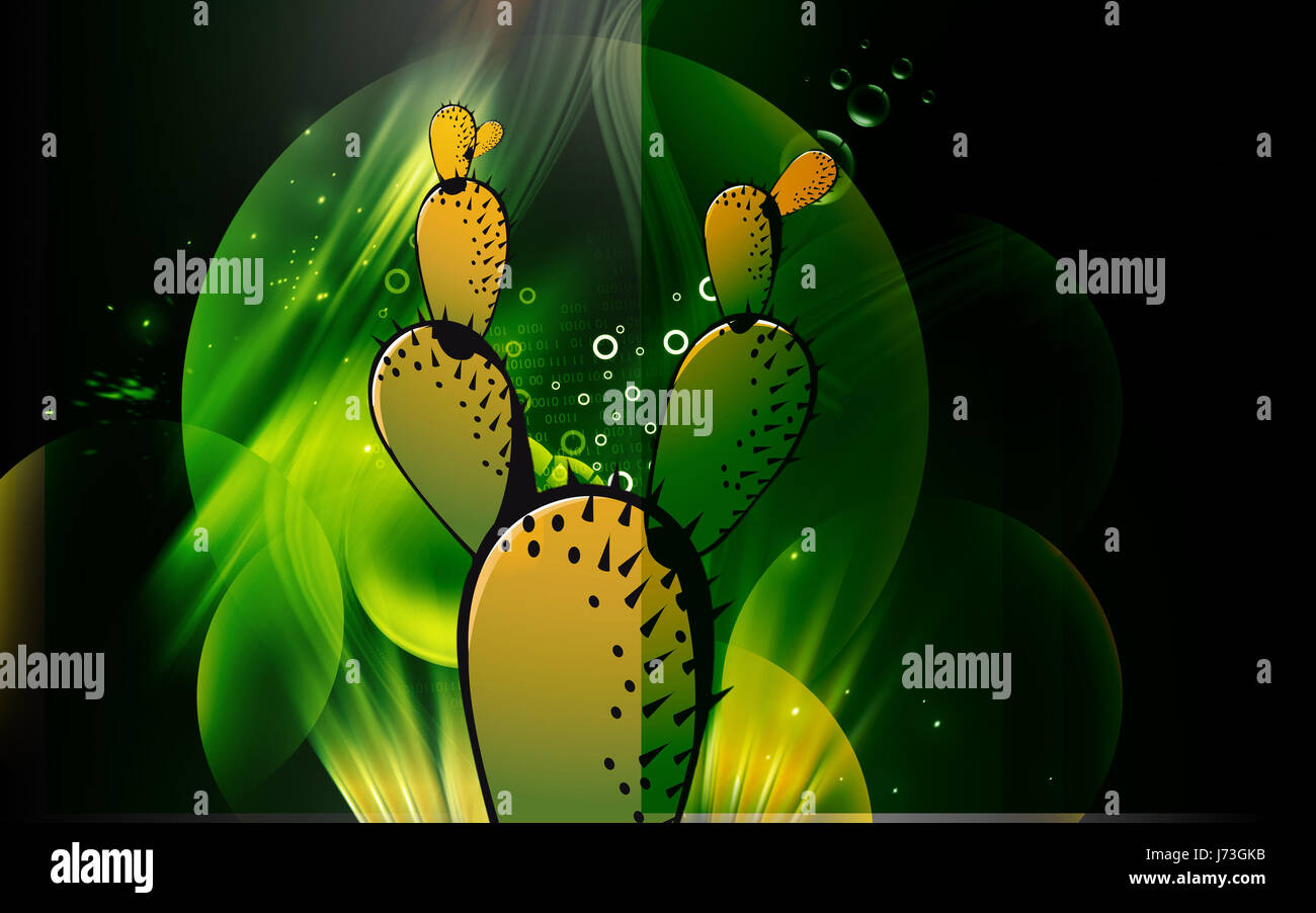 desert wasteland sunlight cactus plant leaf ground soil earth humus ...