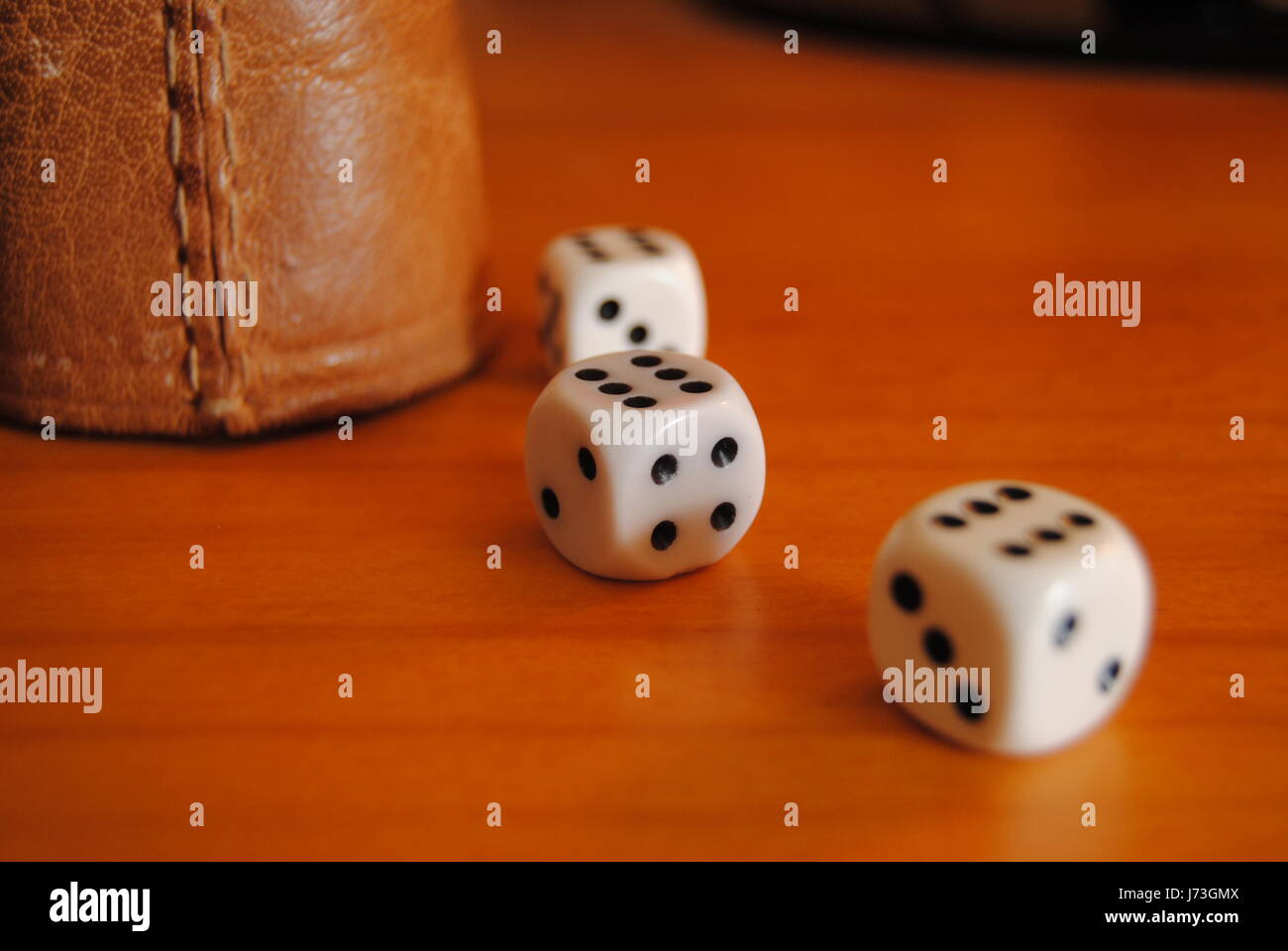 game tournament play playing plays played dice spare time free time ...