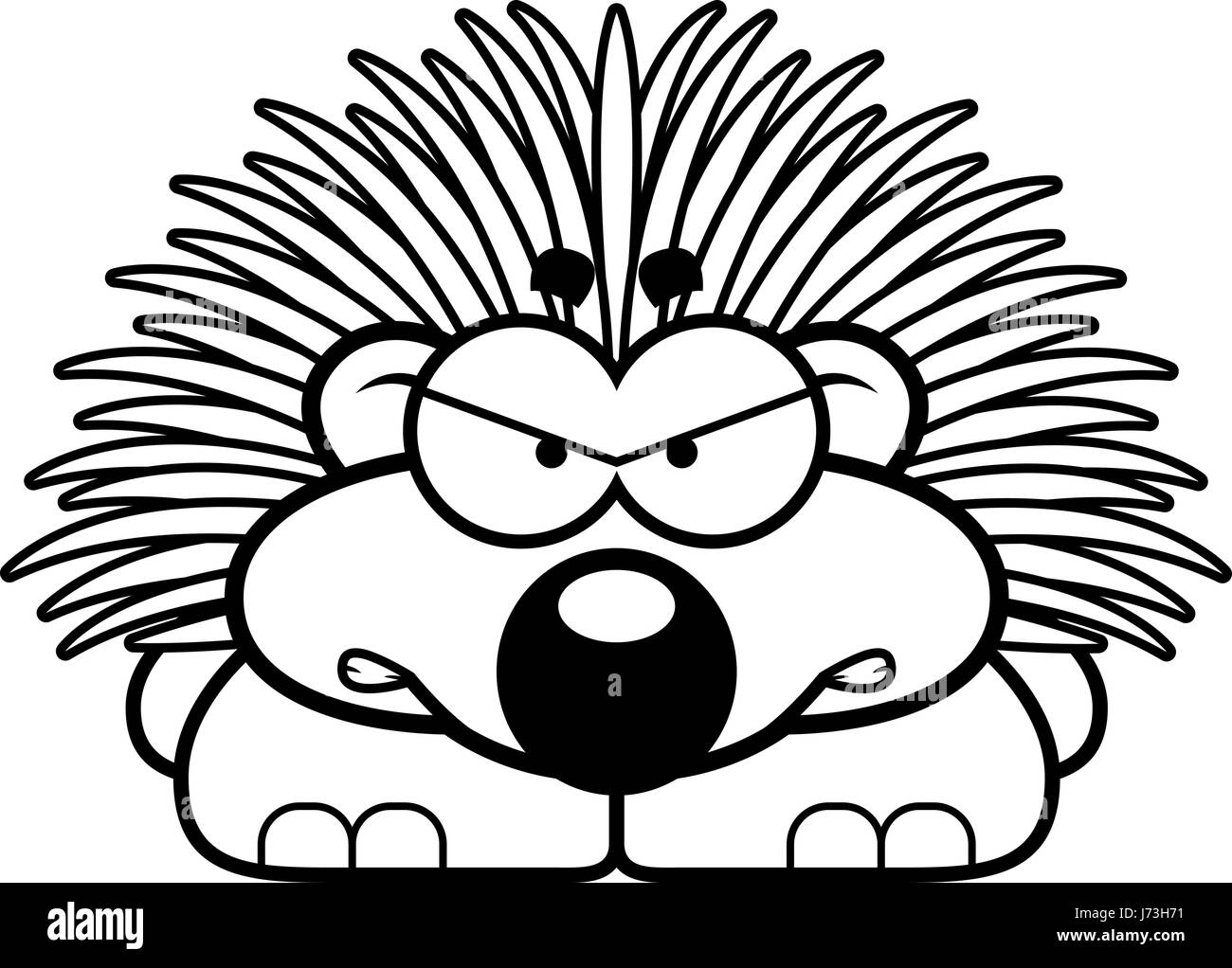 Angry porcupine hi-res stock photography and images - Alamy