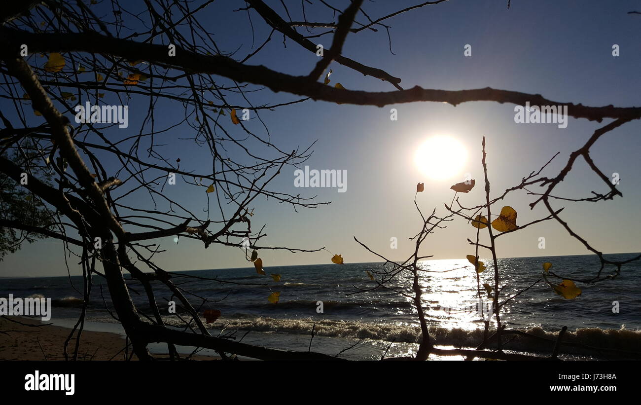 Lakeshore with tree and sun hi-res stock photography and images - Alamy