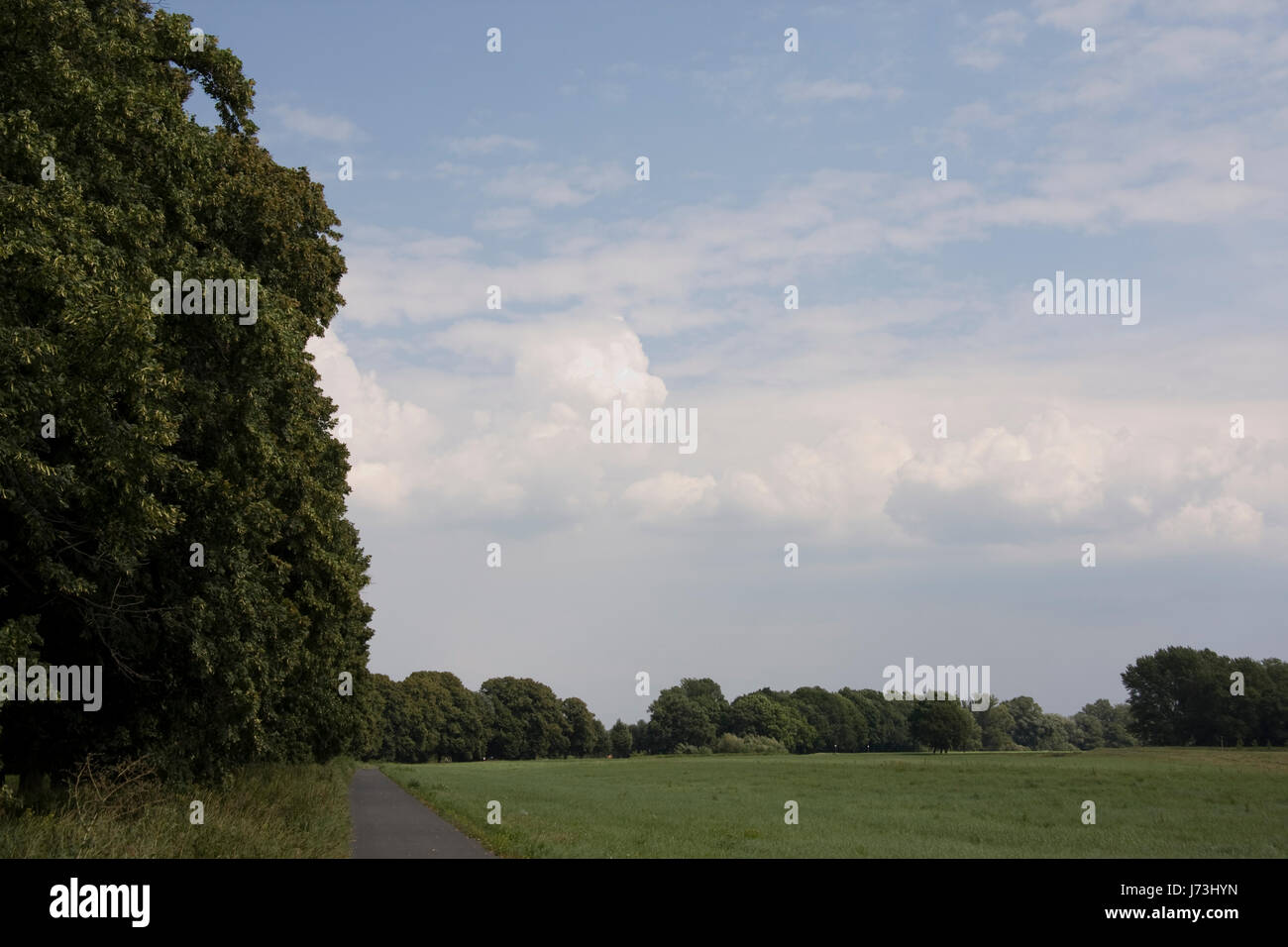 Piece of wool hi-res stock photography and images - Alamy