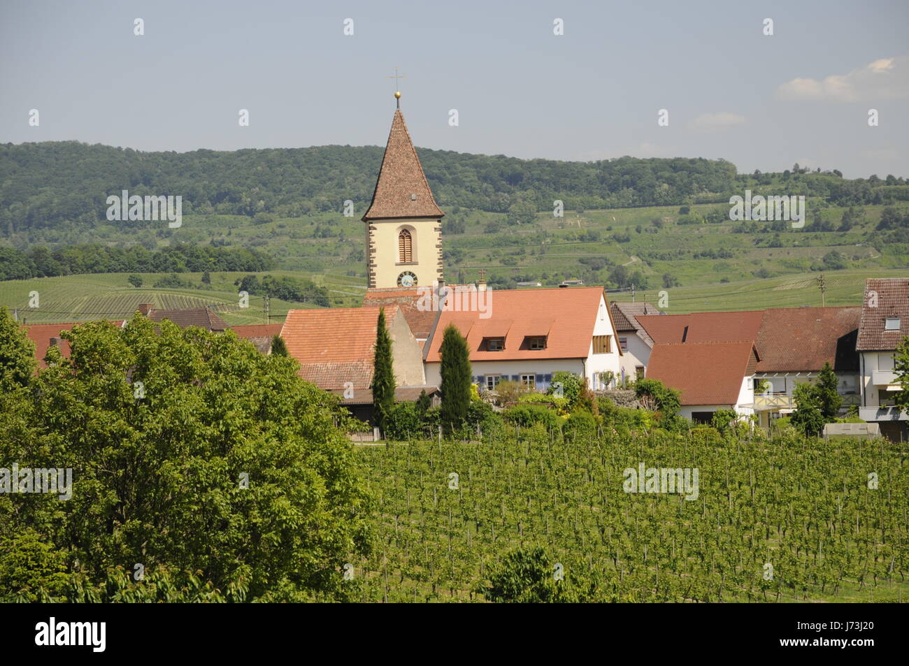 church vineyard place community village market town vine grape vine ...