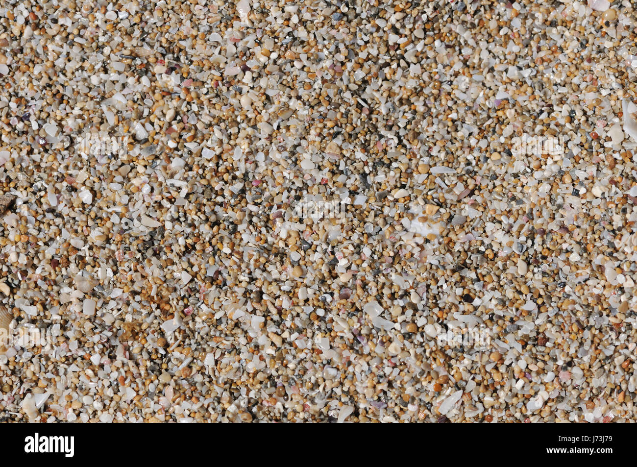 beach seaside the beach seashore sandy backdrop background sands sand ...