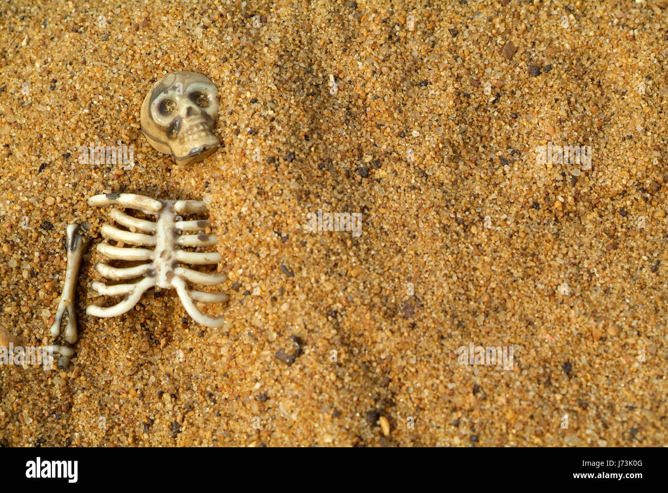 bone halloween spooky skeleton buried bones haunt backdrop background ...