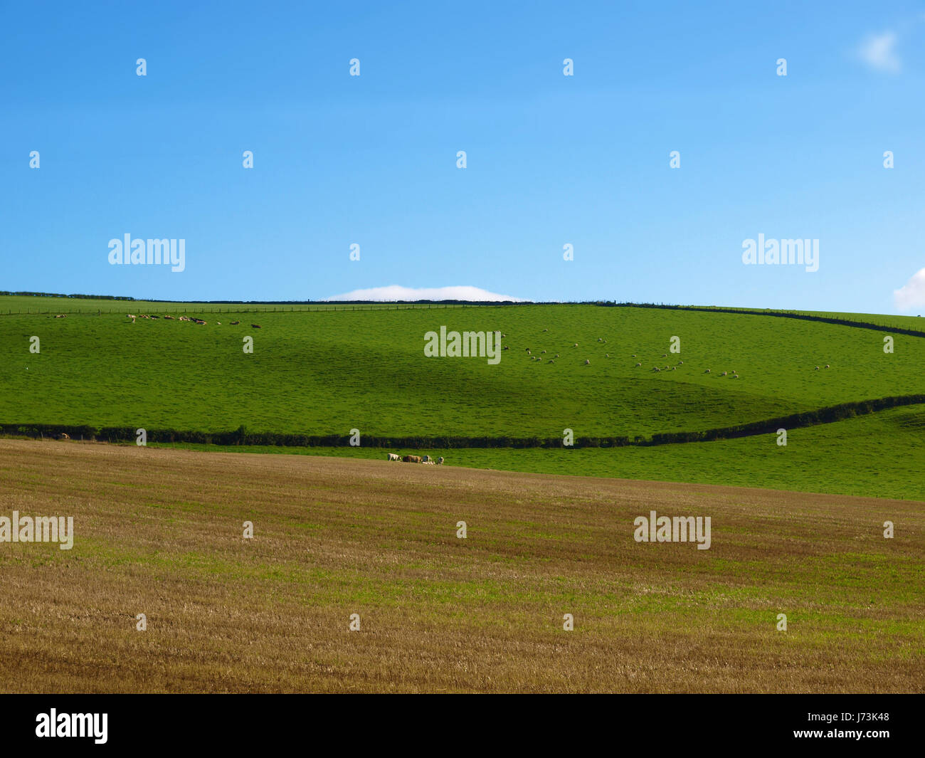hill sight view outlook perspective vista panorama lookout scotland ...