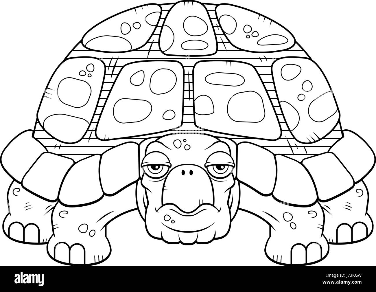 A cartoon green turtle standing and looking Stock Vector Image & Art ...