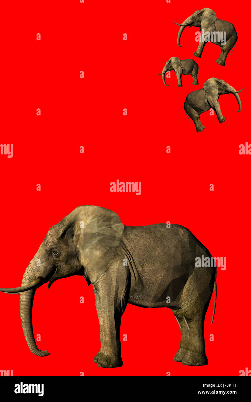 Postcard elephant hi-res stock photography and images - Alamy