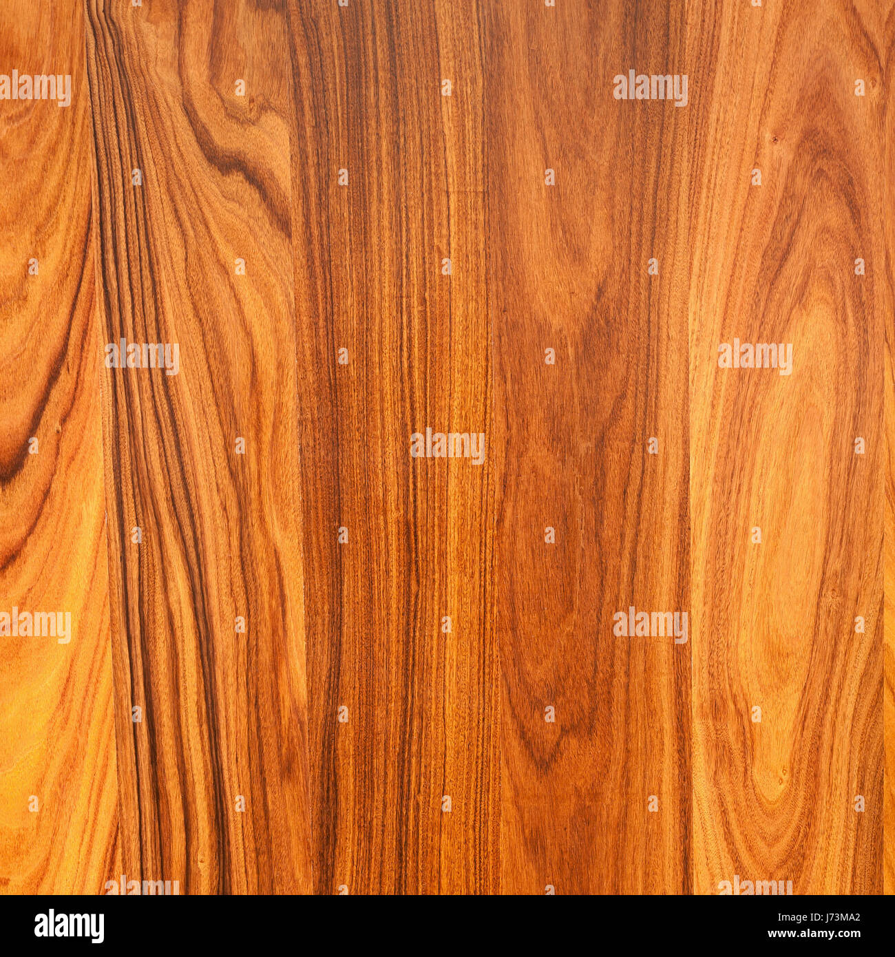 tree wood vein structure backdrop background nature texture macro close ...