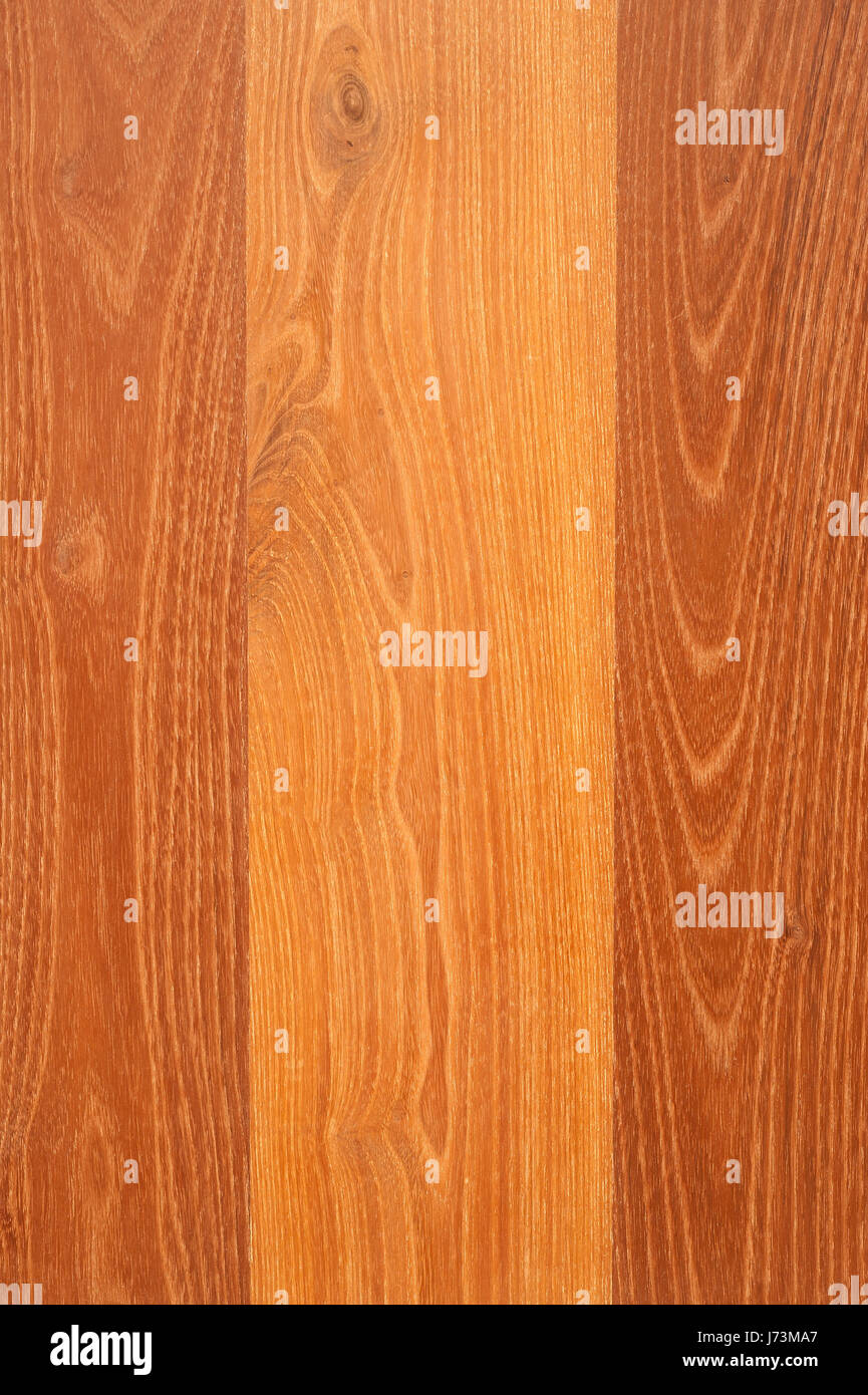 tree wood vein structure backdrop background nature texture macro close ...